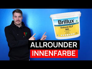 Brillux Dolomit ELF 900 jetzt online kaufen — Meisterfarben